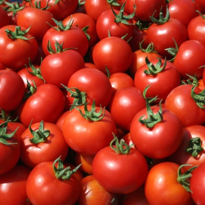 ΝΤΟΜΑΤΑ | Γιάννης Λουκάκος