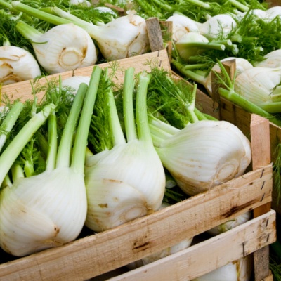 ΦΙΝΟΚΙΟ ή ΜΑΡΑΘΟΡΙΖΑ | Γιάννης Λουκάκος