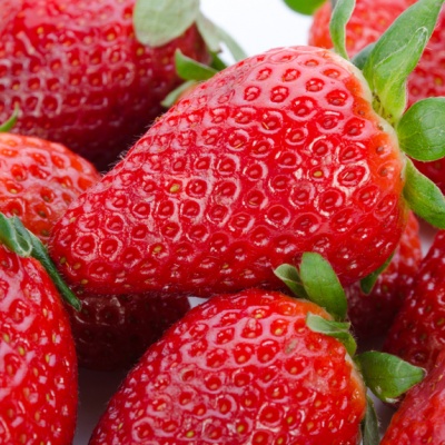 ΦΡΑΟΥΛΑ | Γιάννης Λουκάκος